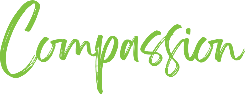 Vision, Mission and Values - Mercy Ministry Companions