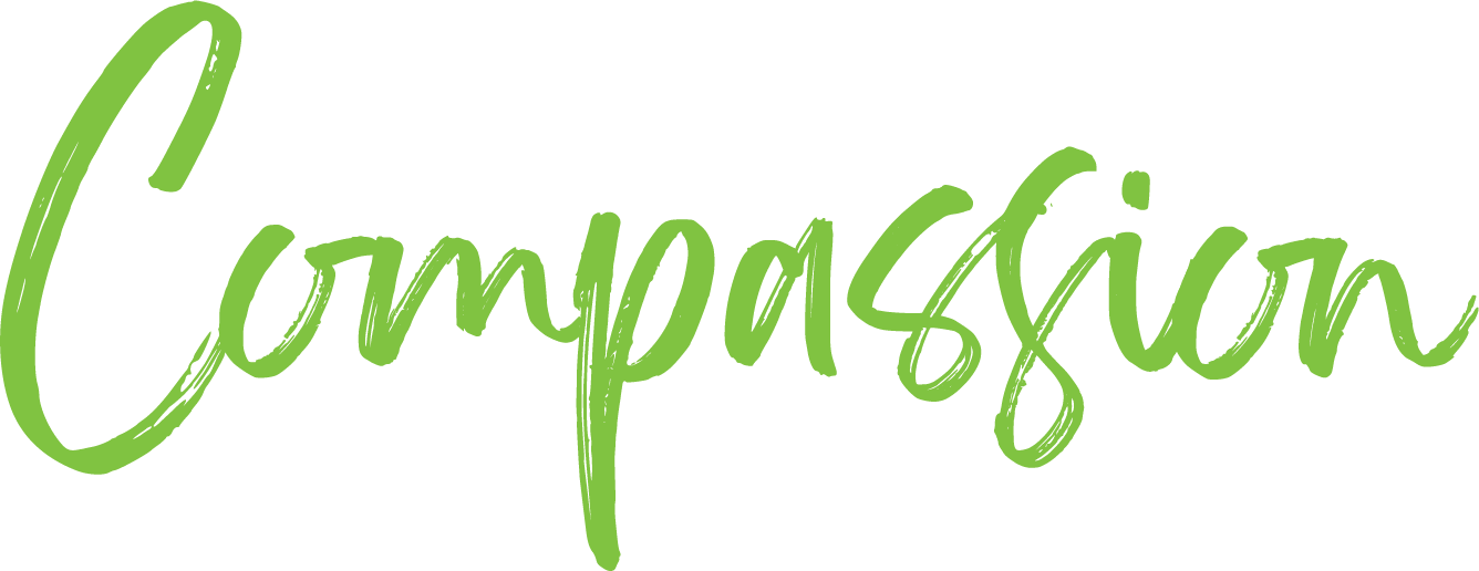 Vision, Mission and Values - Mercy Ministry Companions